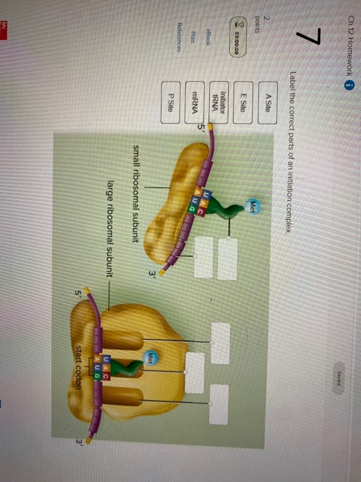 Solved Ch 12 Homework A Label the correct parts of an | Chegg.com