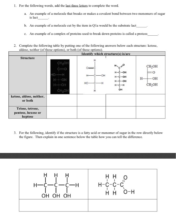 Solved For The Following Words Add The Last Three Letters Chegg Solved For The Following Words Add The Last Three Letters Chegg