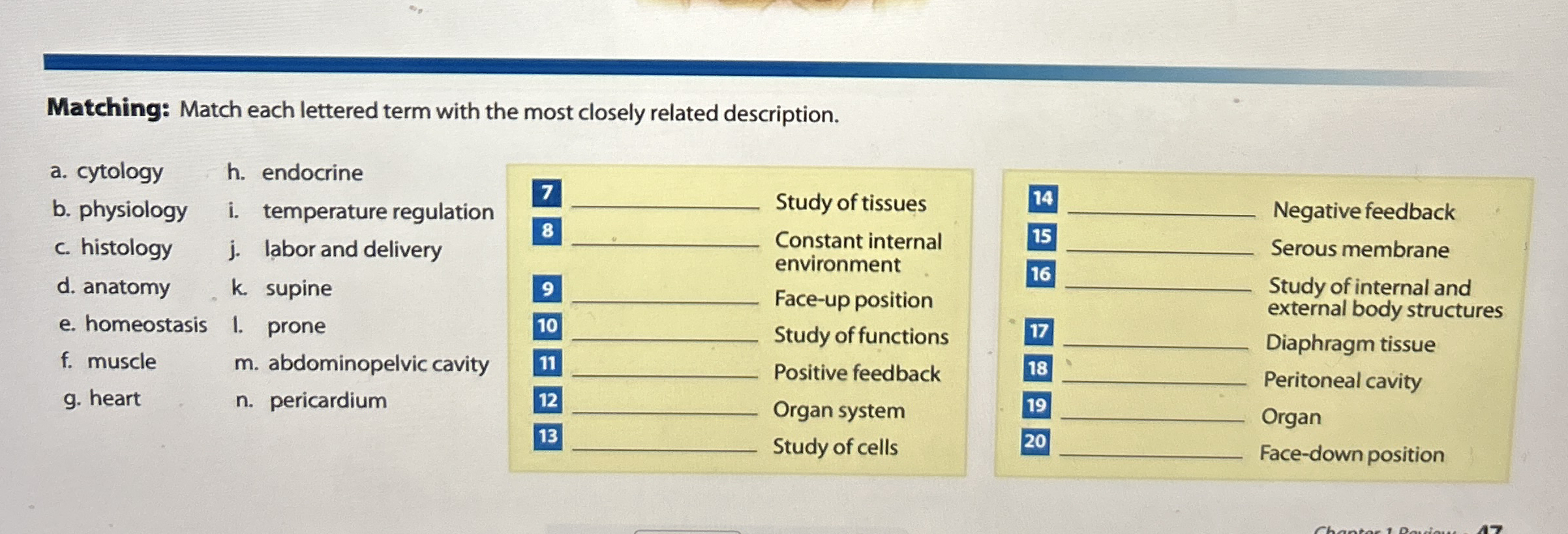 Matching: Match each lettered term with the most | Chegg.com