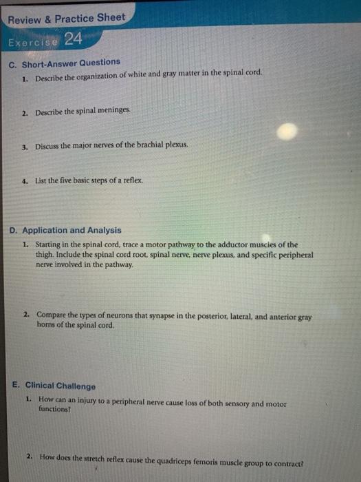 Solved Review & Practice Sheet Exercise 24 C. Short-Answer | Chegg.com
