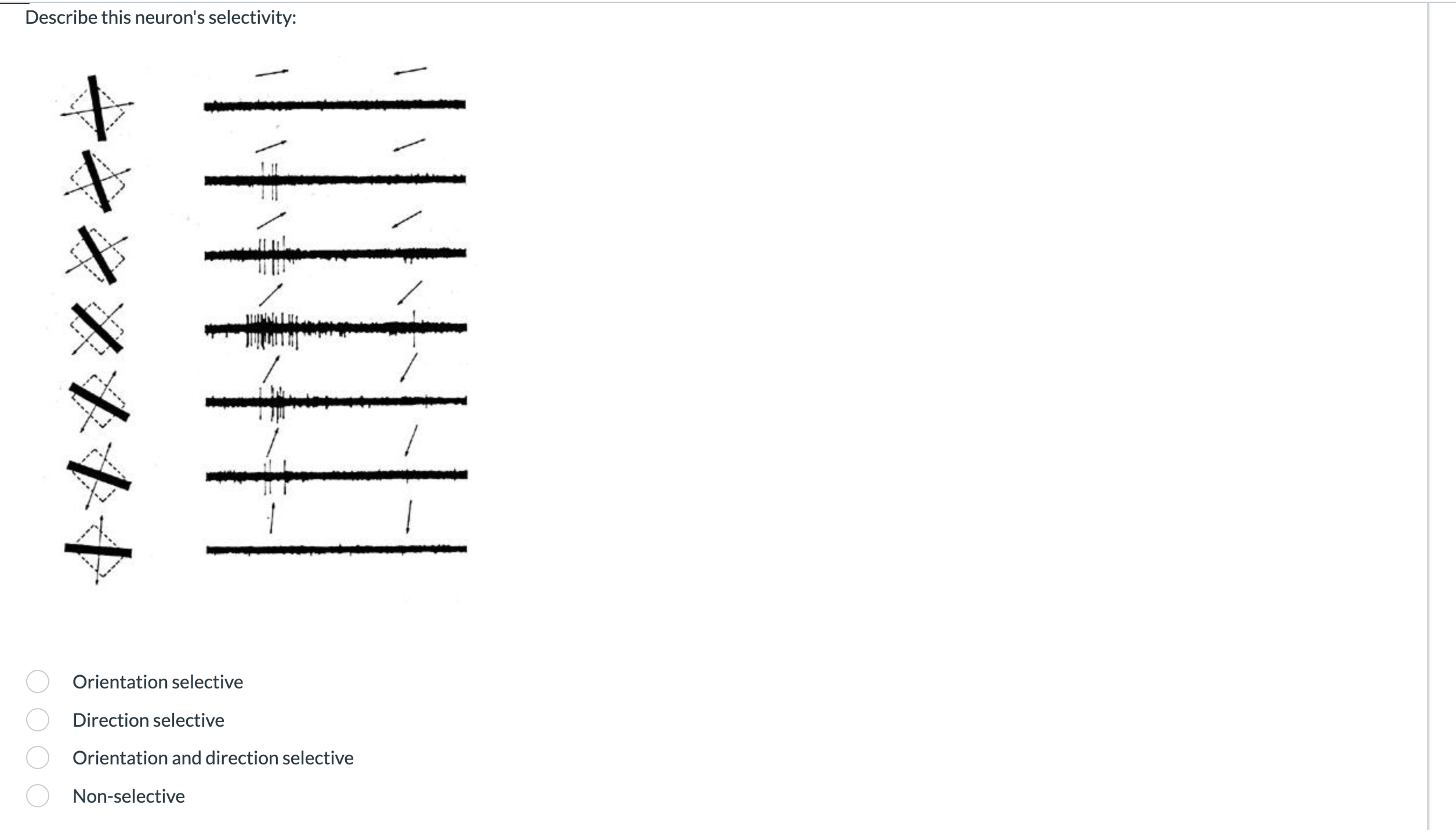 Solved Describe this neuron's selectivity:Orientation | Chegg.com