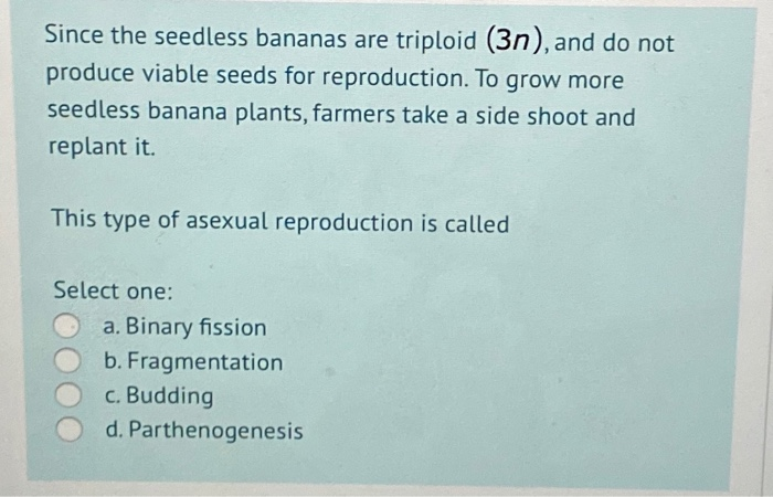 Solved Since the seedless bananas are triploid (3n), and do | Chegg.com