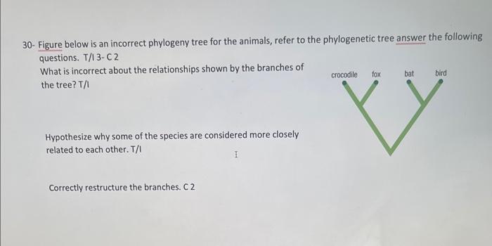 Solved 30- Figure below is an incorrect phylogeny tree for | Chegg.com