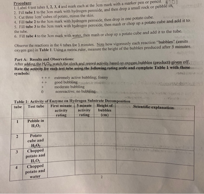 Procedure: 1. Label 4 test tubes 1, 2, 3, 4 and mark | Chegg.com