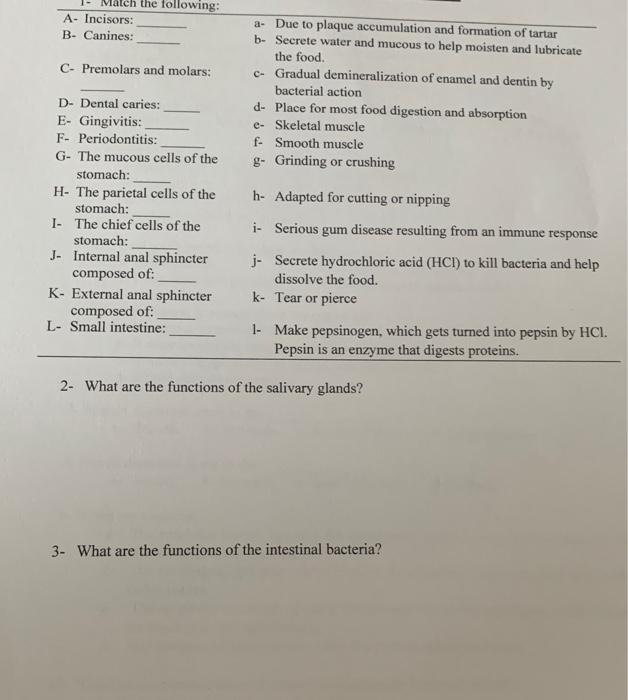 Solved 1- Put the following structures in order as food | Chegg.com