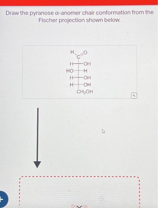 Solved Draw the pyranose α-anomer chair conformation from | Chegg.com