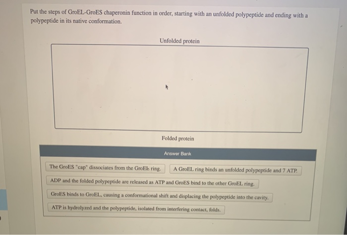 Solved Put the steps of GroEL-GroES chaperonin function in | Chegg.com