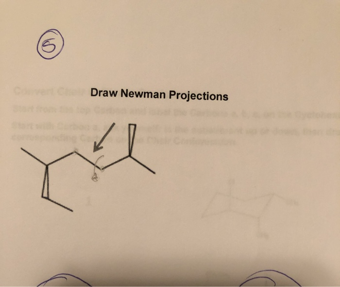 Solved Draw Newman Projections | Chegg.com
