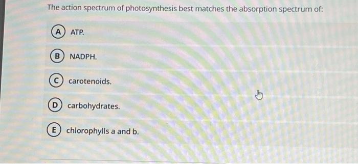 Solved The action spectrum of photosynthesis best matches | Chegg.com
