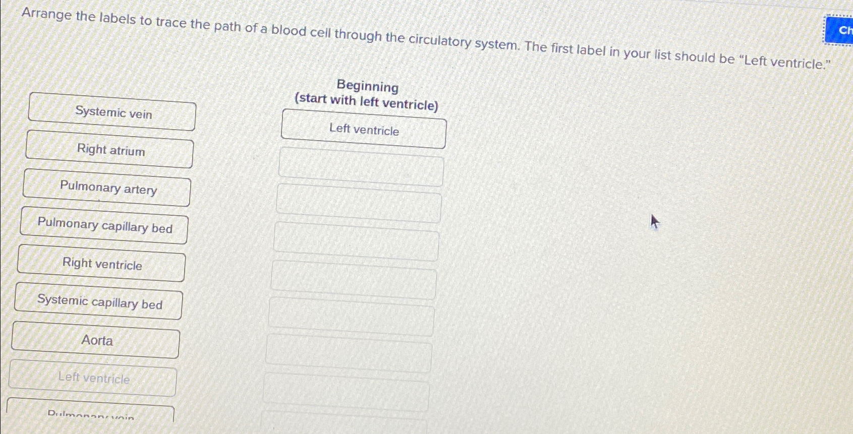 Solved Arrange the labels to trace the path of a blood cell | Chegg.com