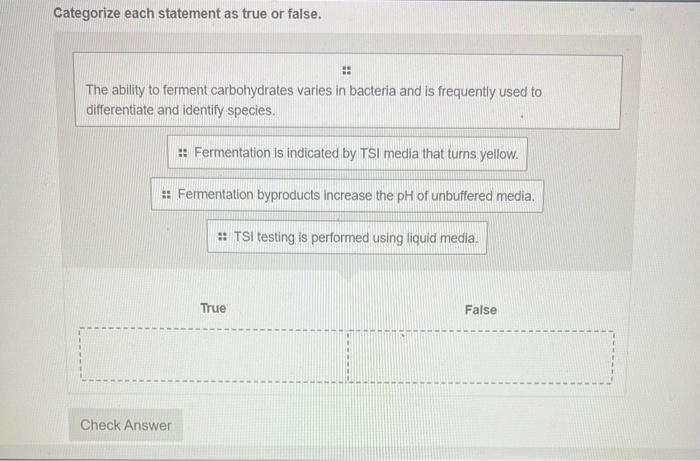 Solved Categorize each statement as true or false. The | Chegg.com