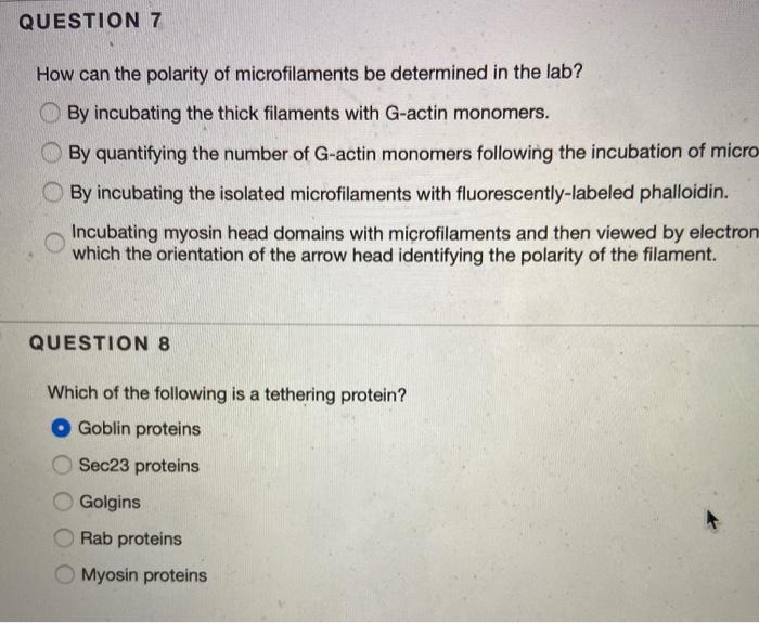 Solved QUESTION 7 How can the polarity of microfilaments be | Chegg.com