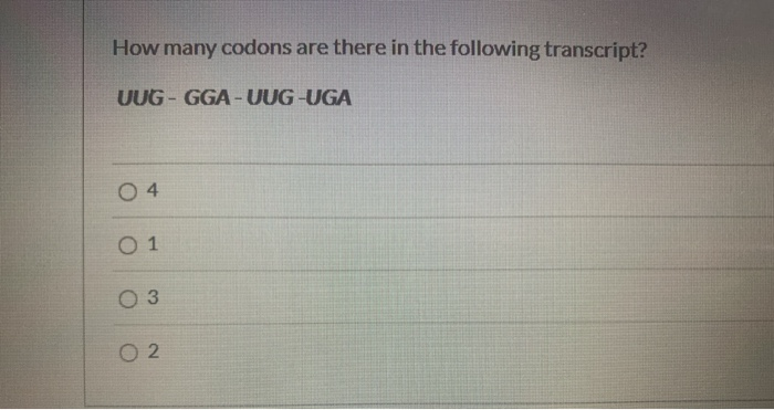Solved How many codons are there in the following | Chegg.com