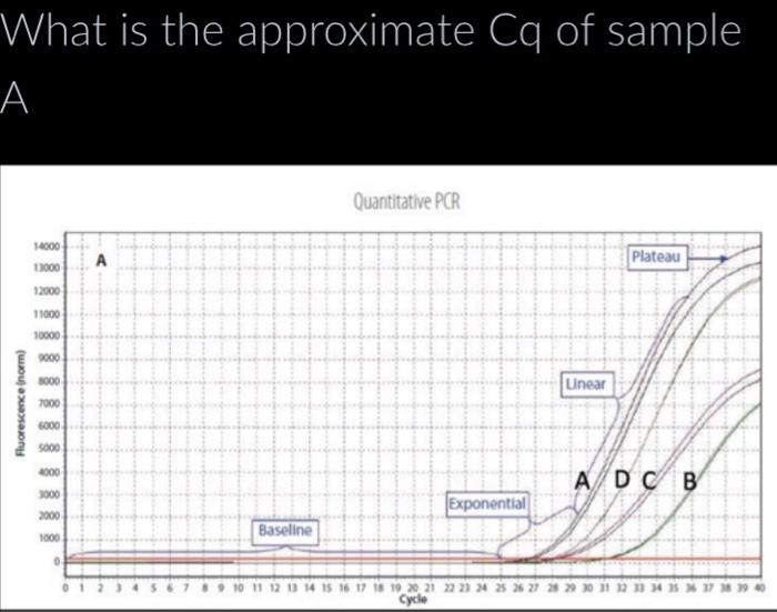 Solved What is the approximate Cq of sample A | Chegg.com