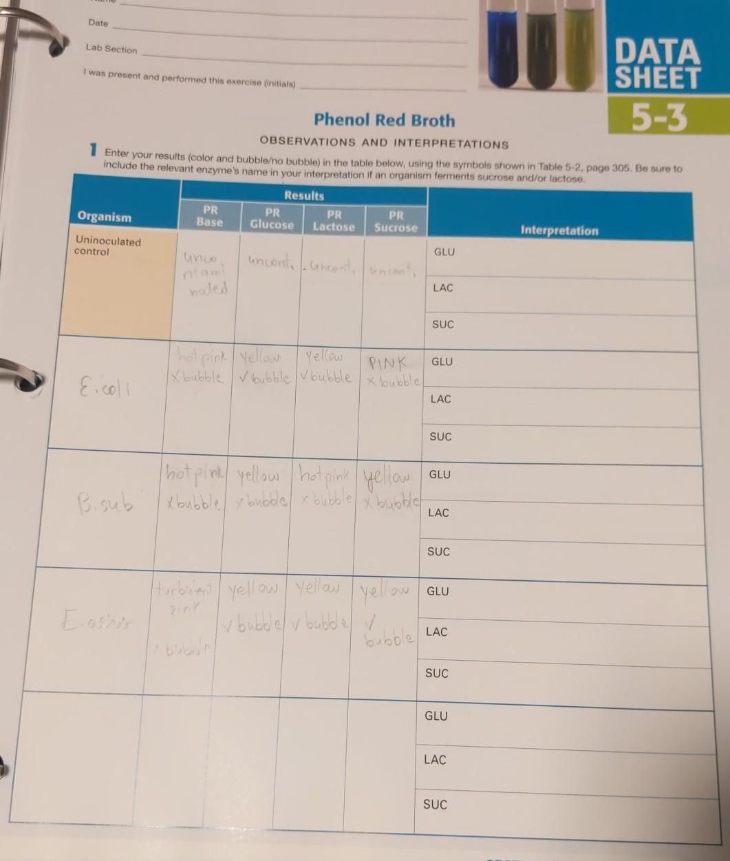 Solved Date Lab Section I was present and performed this | Chegg.com