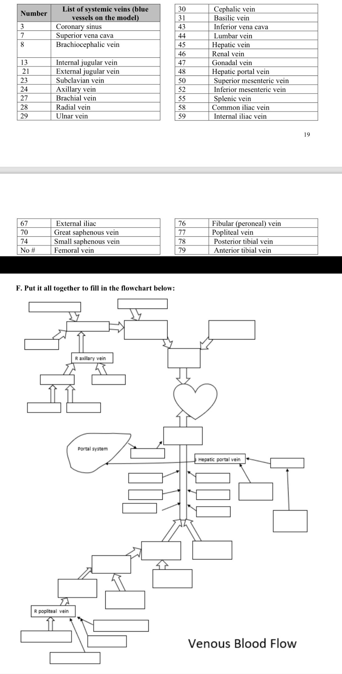 Solved Fill in the vessel names in the flow chart below as | Chegg.com