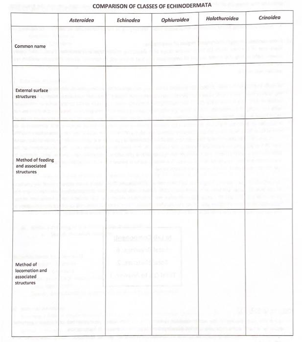 Solved COMPARISON OF CLASSES OF ECHINODERMATA | Chegg.com