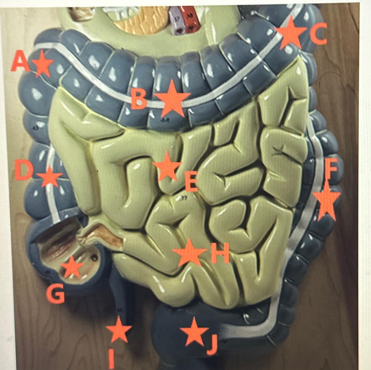 Solved Please label this. | Chegg.com