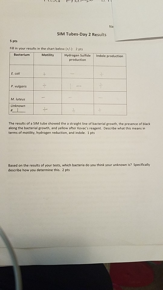 Solved Na SIM Tubes-Day 2 Results 5 pts Fill in your results | Chegg.com