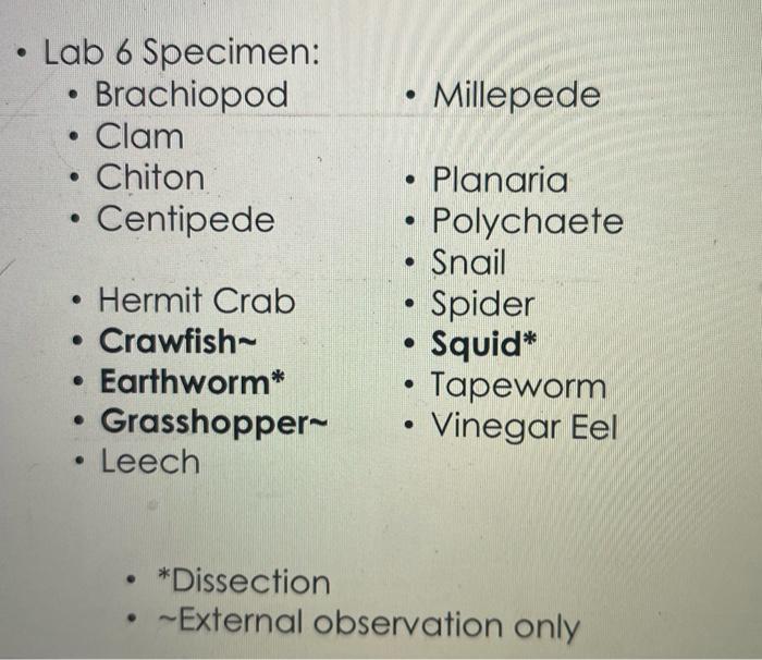 Solved Lab 6 Specimen: - Brachiopod - Millepede - Clam - | Chegg.com