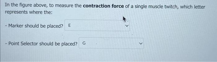 Solved In the figure above, to measure the contraction | Chegg.com