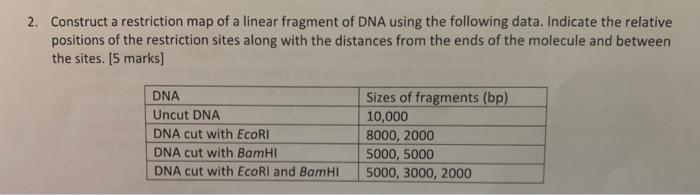 Solved 2. Construct a restriction map of a linear fragment | Chegg.com