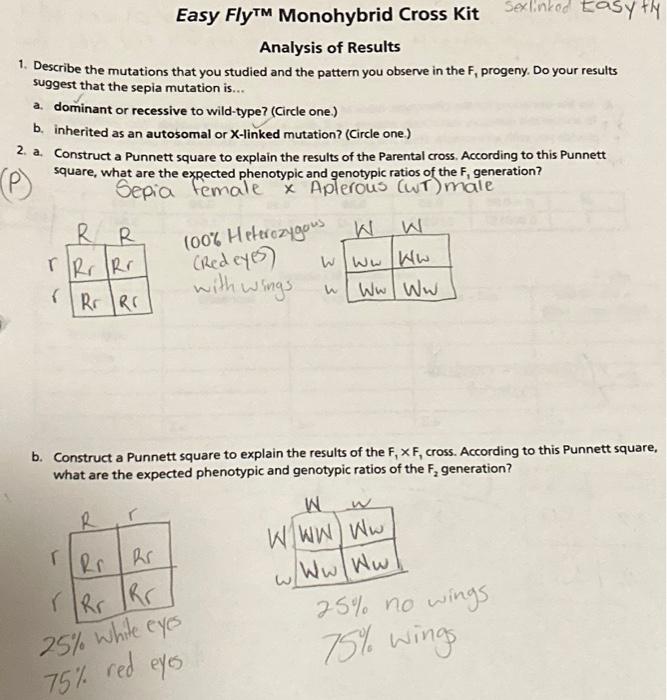Solved Part 3: Scoring the F1 Flies and Setting Up the F2 | Chegg.com