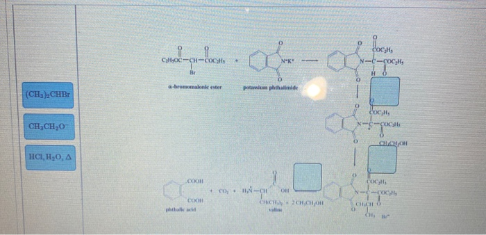 Solved Show how valine can be prepared by Part D: a | Chegg.com