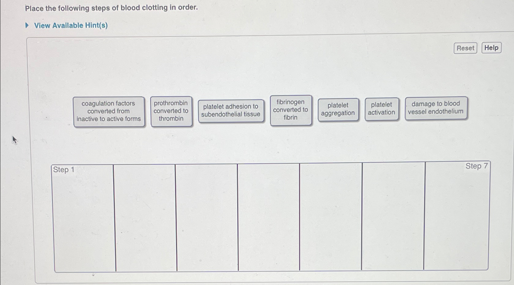 Solved Place the following steps of blood clotting in | Chegg.com