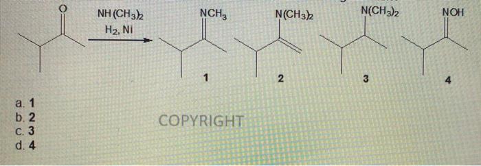 Solved NH (CH3) NCH, N(CH3)2 N(CH3)2 NOH Hz. Ni 1 2 3 a. 1 | Chegg.com