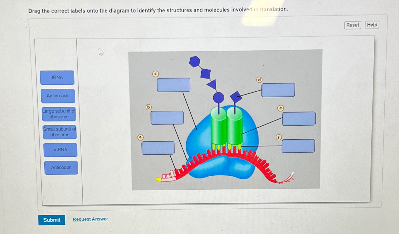 Solved Drag The Correct Labels Onto The Diagram To Identify