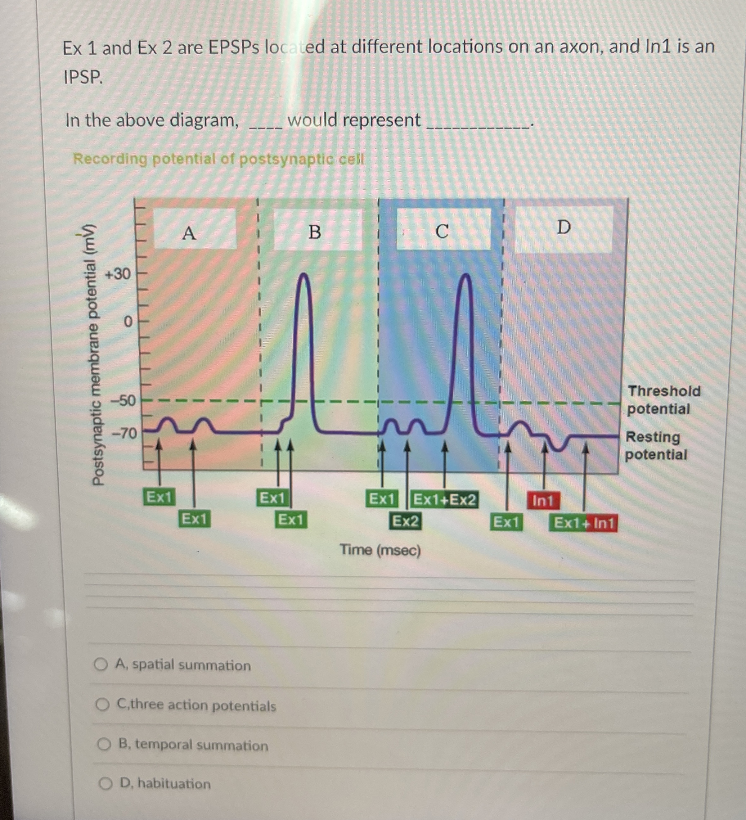 Solved Ex 1 ﻿and Ex 2 ﻿are EPSPs located at different | Chegg.com