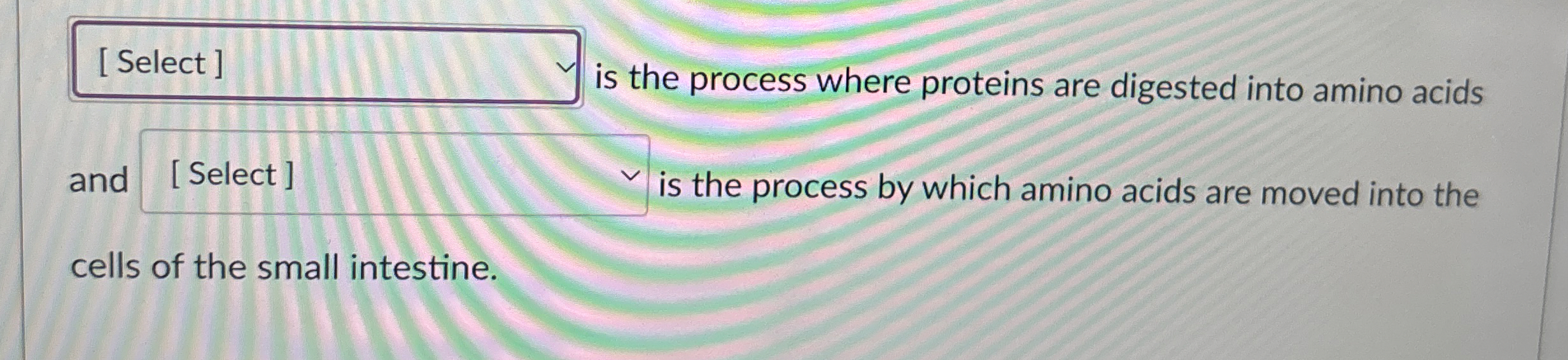 Solved ﻿is the process where proteins are digested into | Chegg.com
