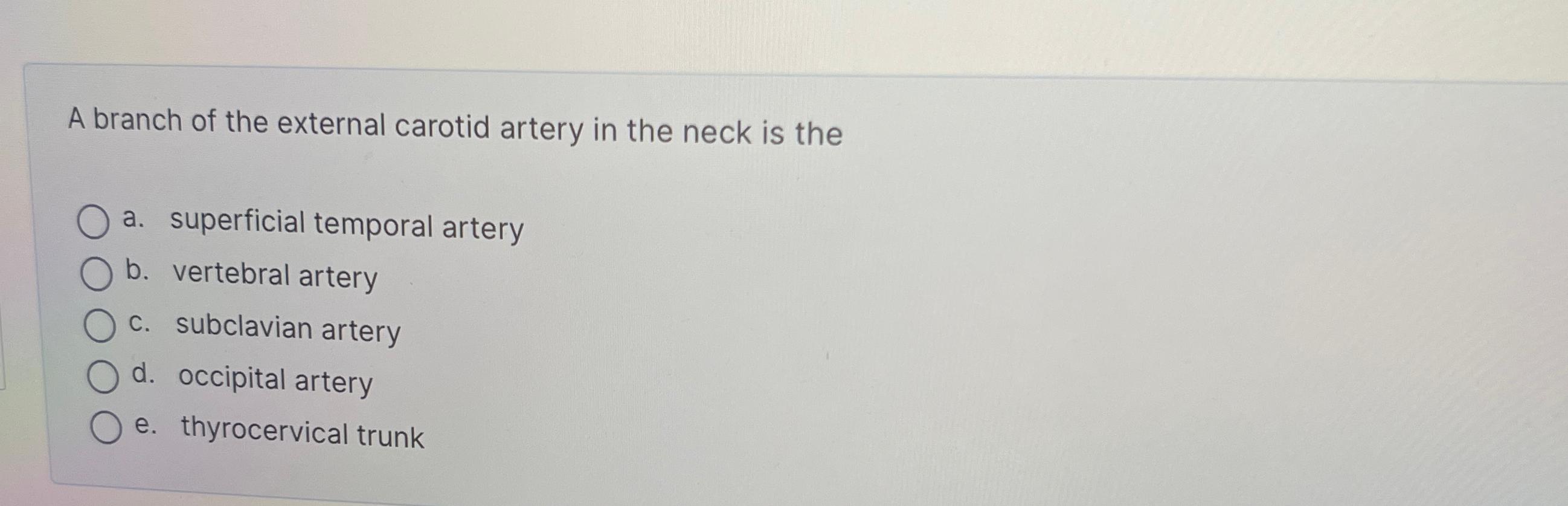 Solved A branch of the external carotid artery in the neck | Chegg.com