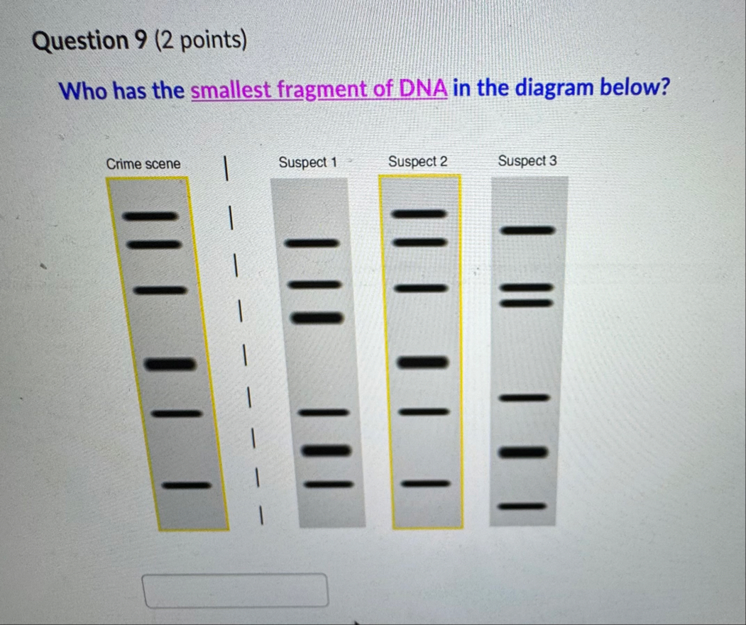 Solved Question 9 (2 ﻿points)Who has the smallest fragment | Chegg.com
