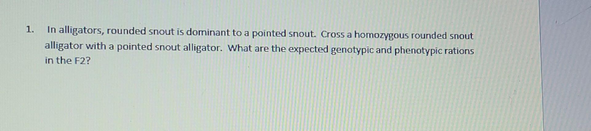 Solved 1. In alligators, rounded snout is dominant to a | Chegg.com
