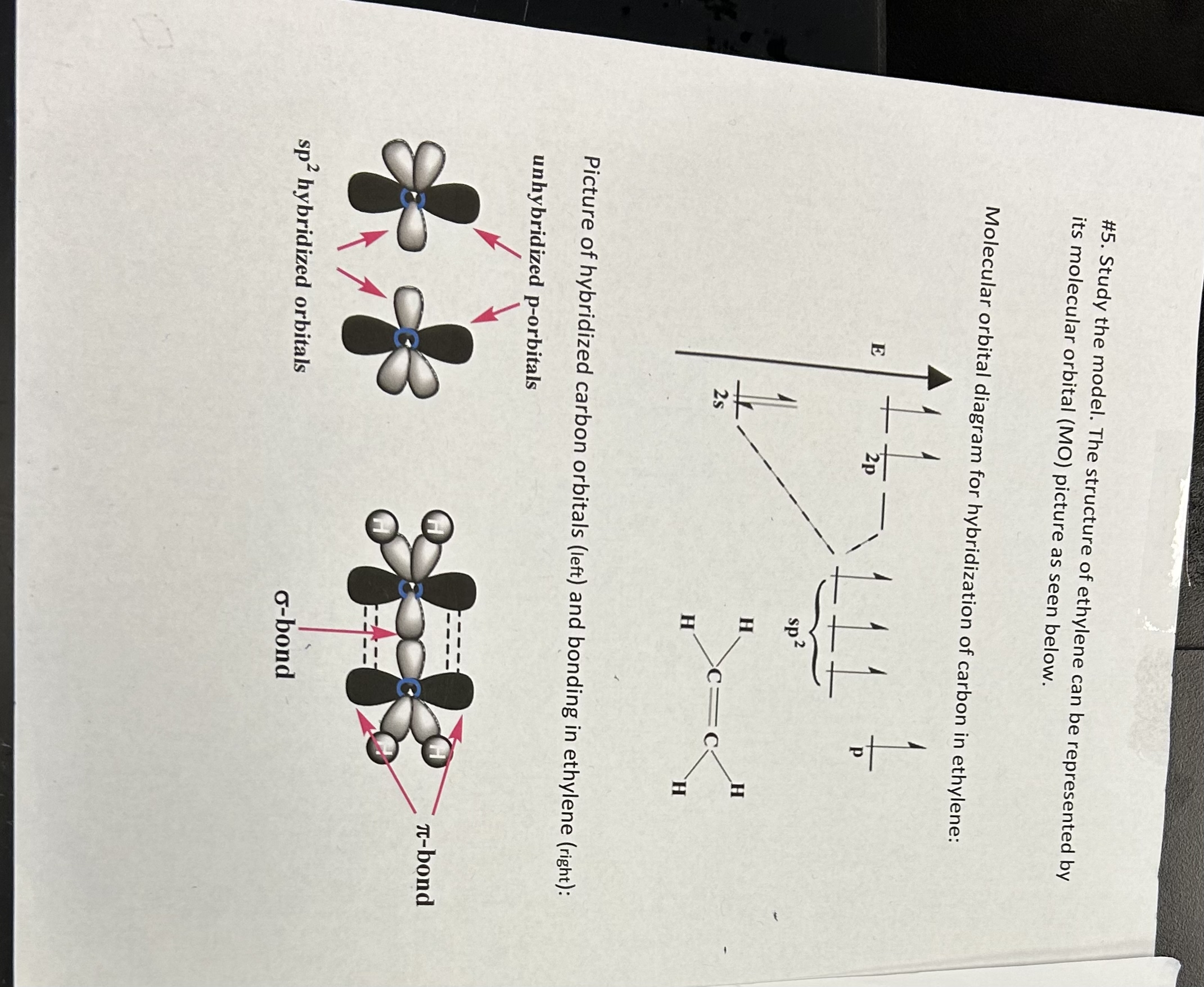 Solved #5. ﻿Study the model. The structure of ethylene can | Chegg.com