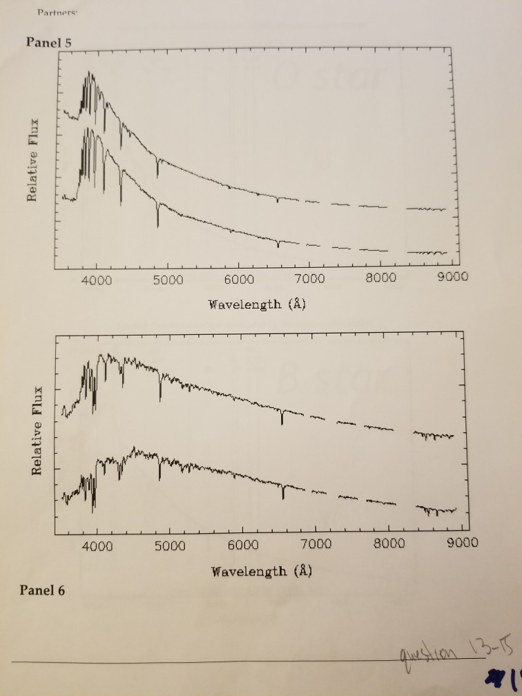 Spectral Classification of Stars We will now learn | Chegg.com