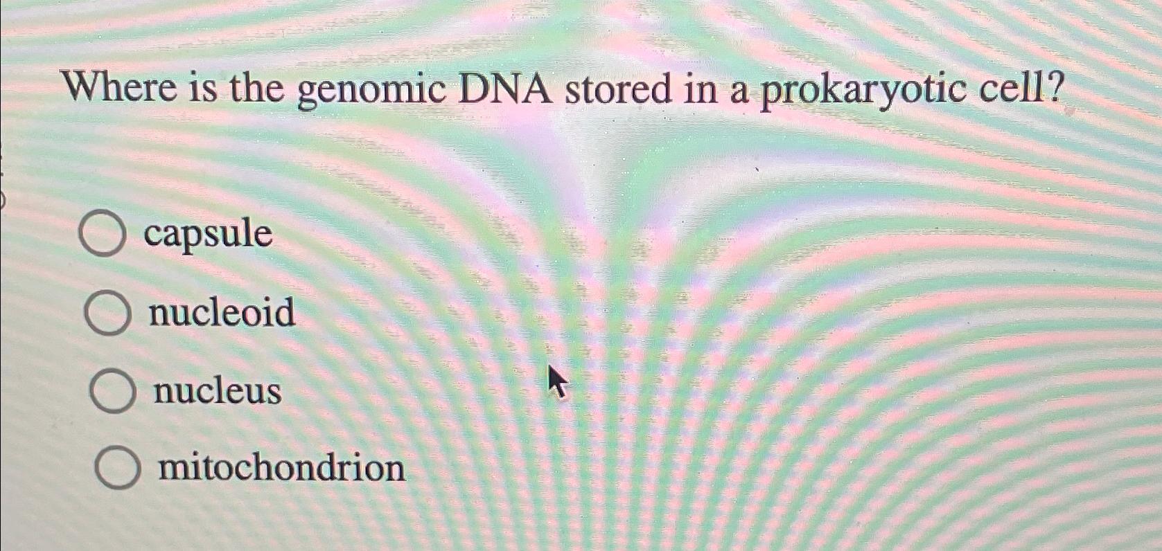 Solved Where is the genomic DNA stored in a prokaryotic | Chegg.com