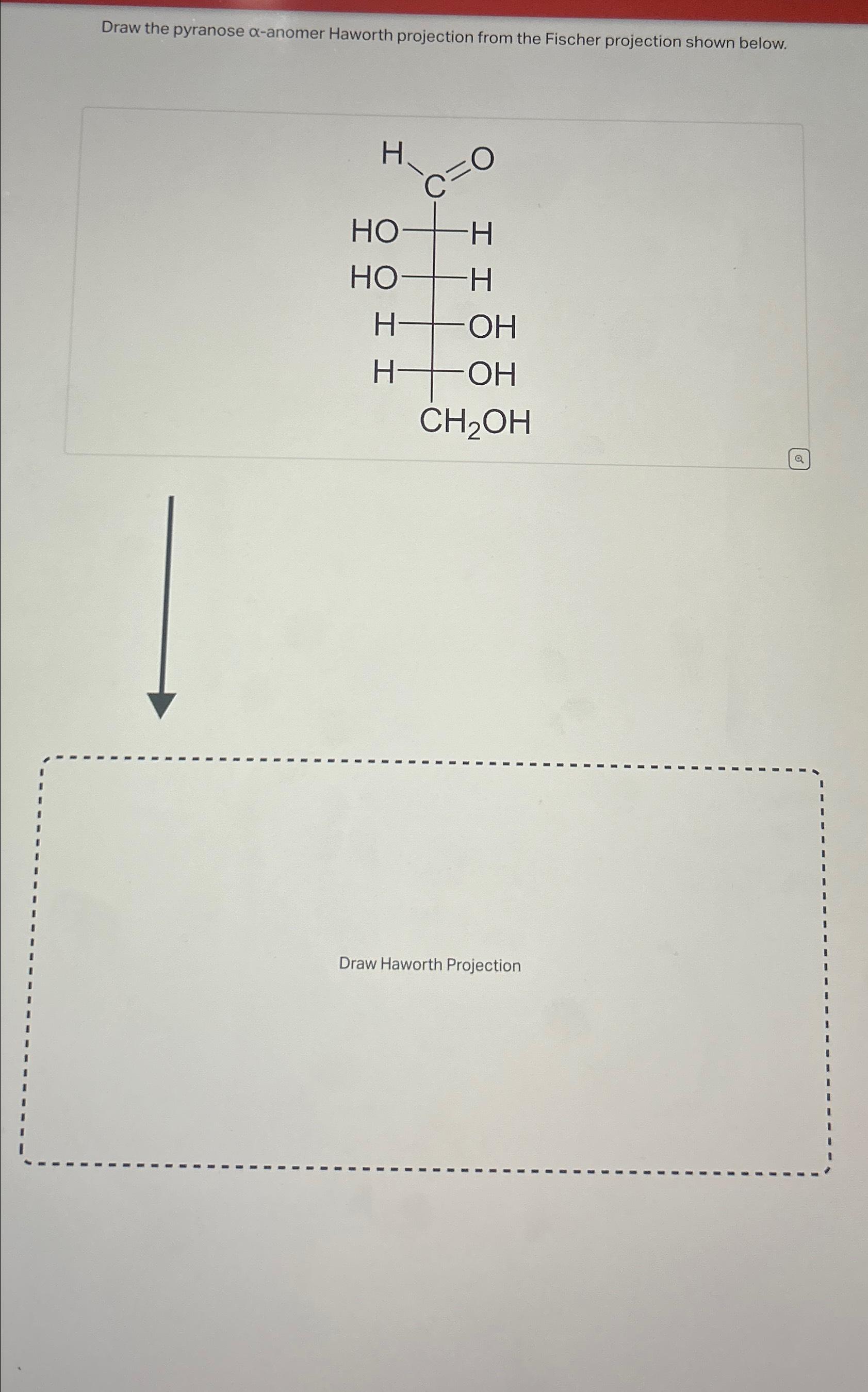 Solved Draw the pyranose α-anomer Haworth projection from | Chegg.com