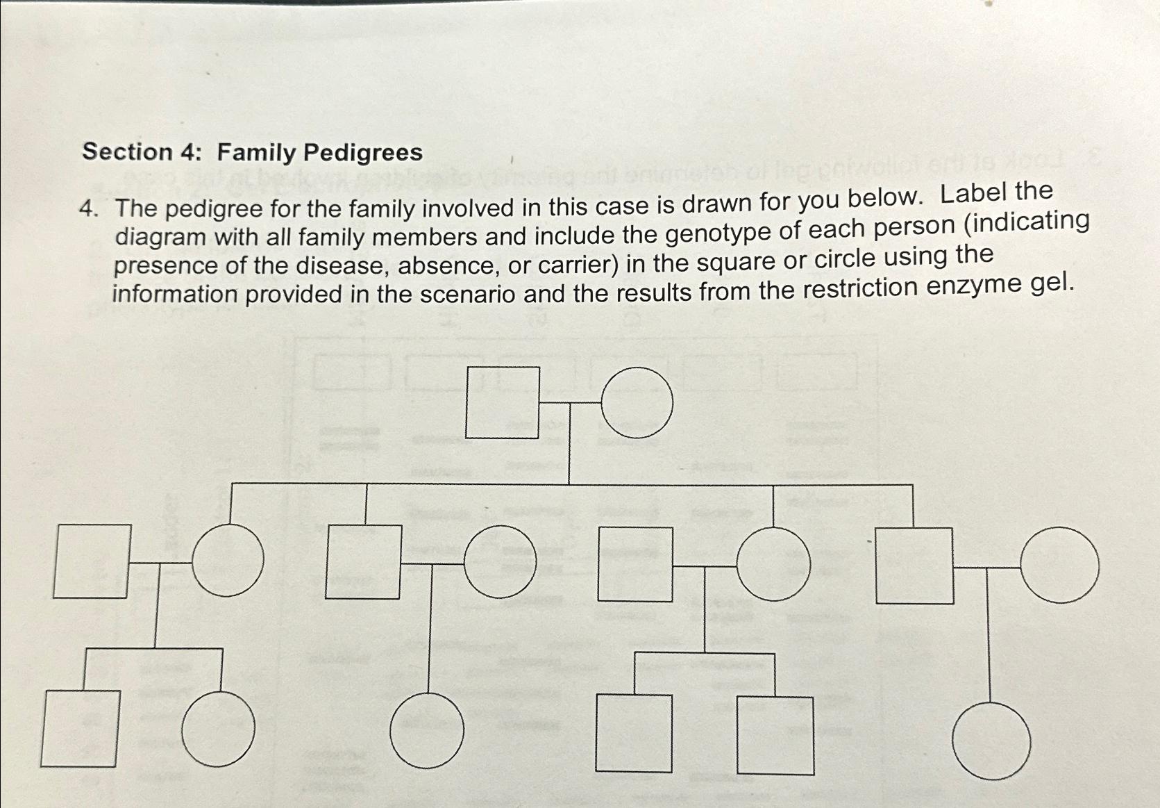 Solved Section 4: Family Pedigrees4. ﻿The pedigree for the | Chegg.com
