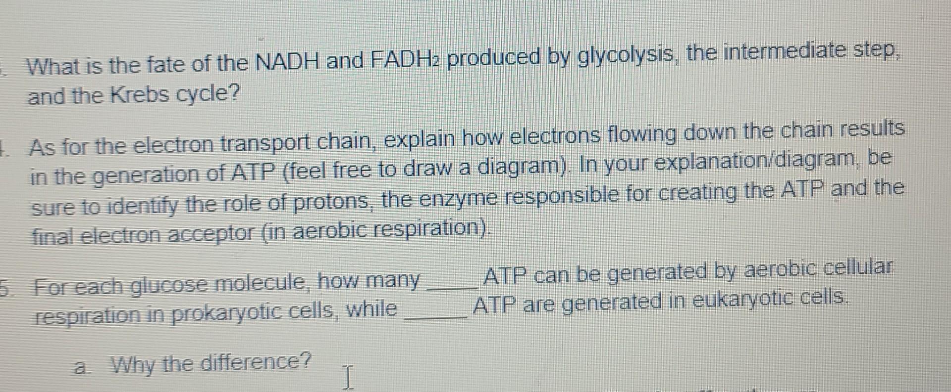 Solved What is the fate of the NADH and FADH2 produced by | Chegg.com