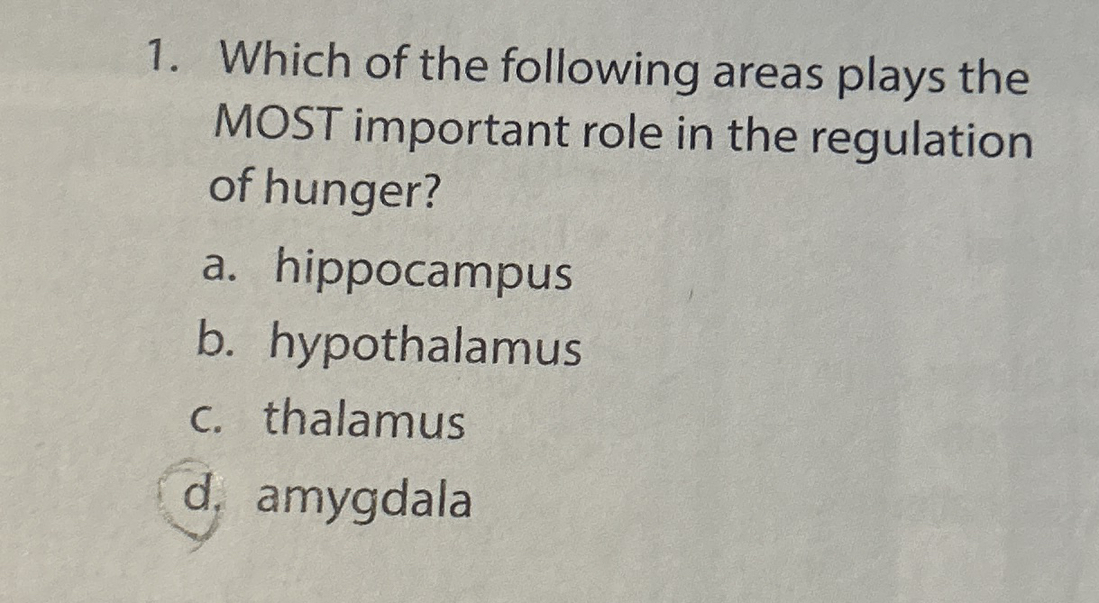 Which of the following areas plays the MOST important | Chegg.com