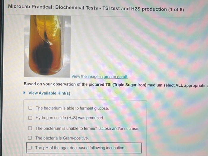 Solved MicroLab Practical: Biochemical Tests - TSI test and | Chegg.com