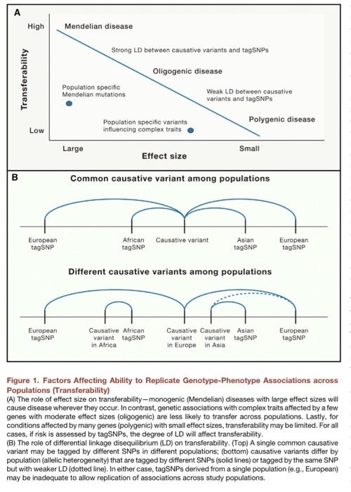 Solved Figure 1. Factors Affecting Ability to Replicate | Chegg.com