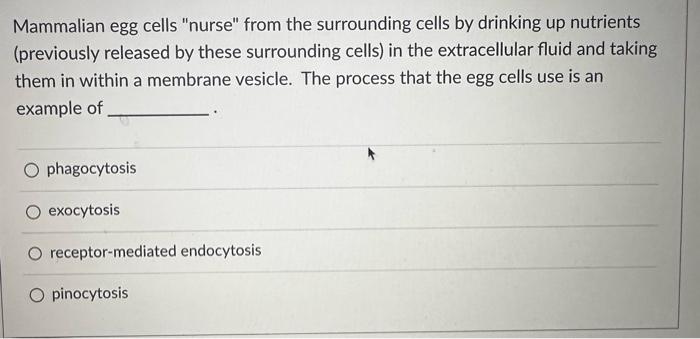 Solved Mammalian egg cells "nurse" from the surrounding | Chegg.com