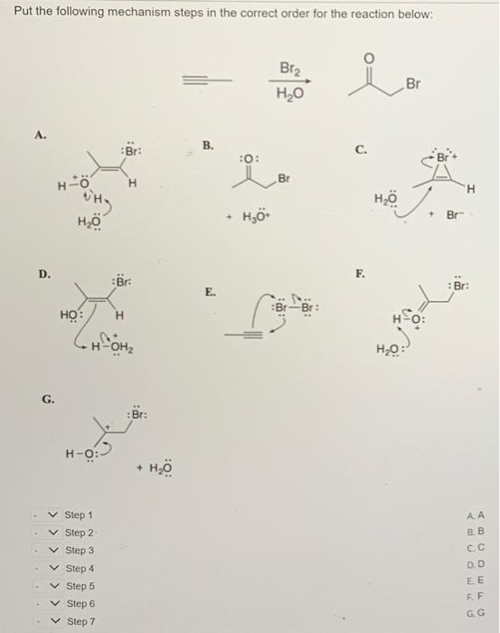 Solved Put the following mechanism steps in the correct | Chegg.com