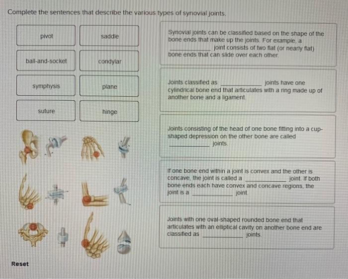 Solved Complete the sentences that describe the various | Chegg.com