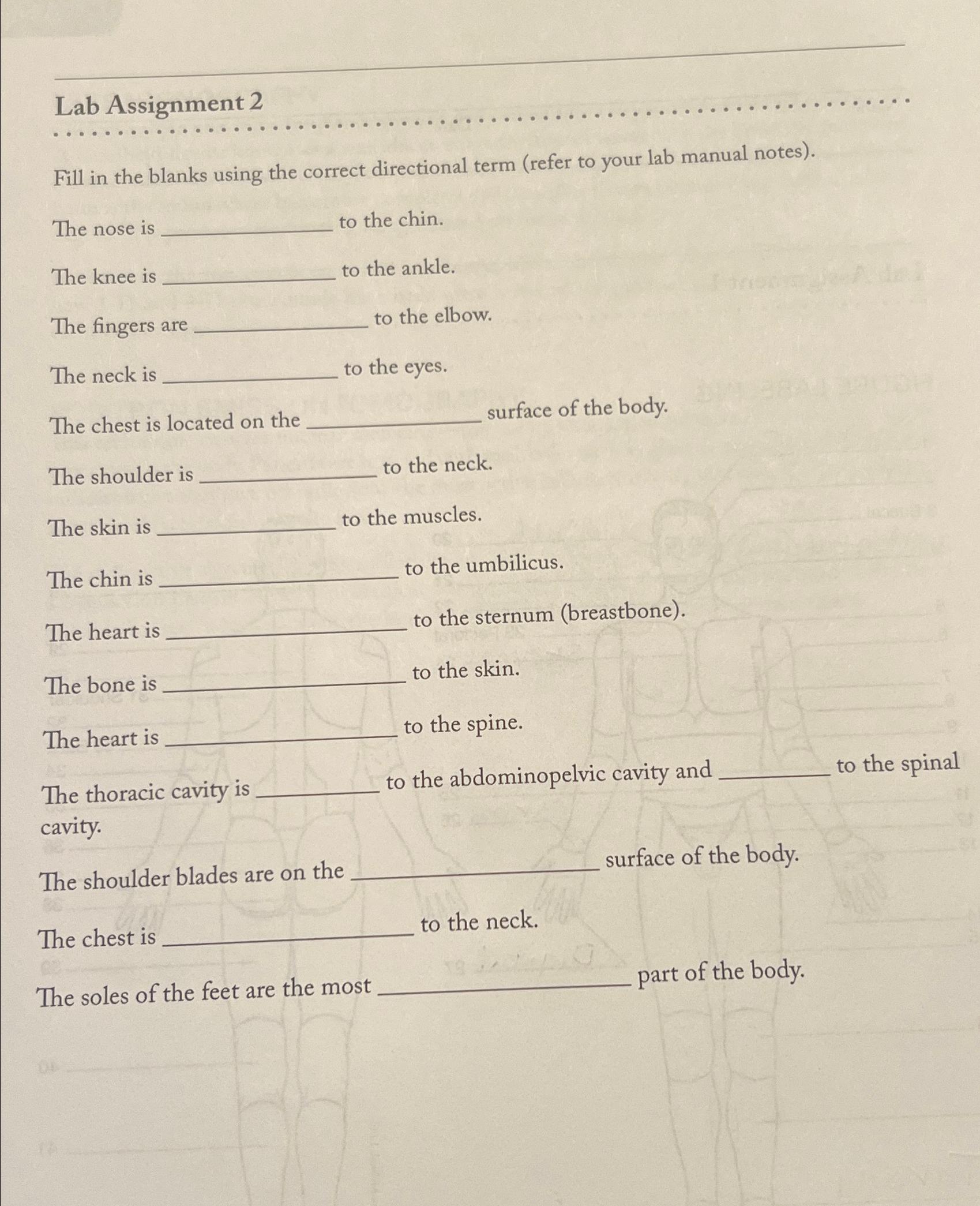 Solved Lab Assignment 2Fill in the blanks using the correct | Chegg.com