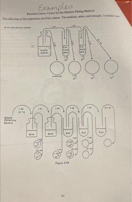 Bacteriat Colony Count by the Dilution Plating Method | Chegg.com